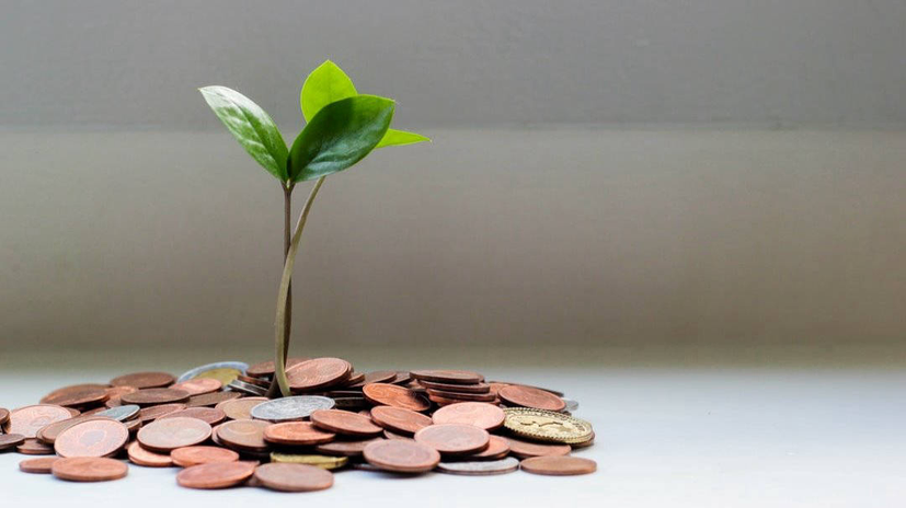 Leasing or Securing Projects? How can Bank Guarantee Help? | Article ...