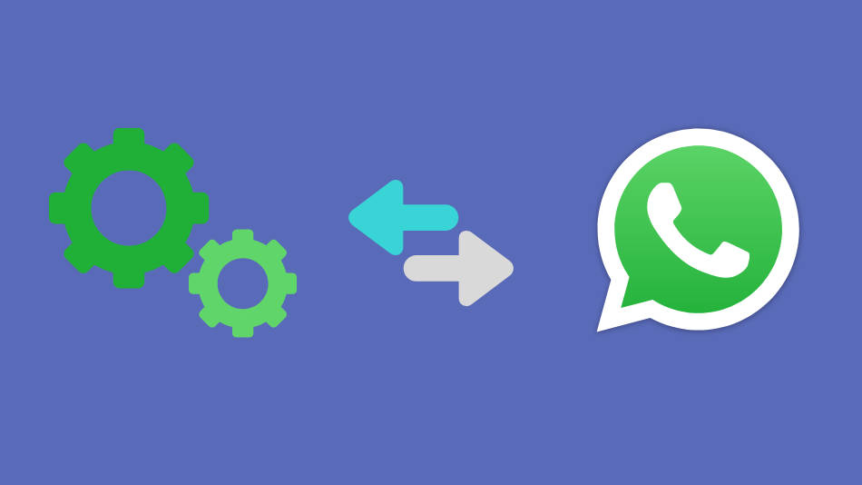 企業必用WhatsApp Business APIs - 到底有甚麼好？ | 文章 – 滙豐機滙