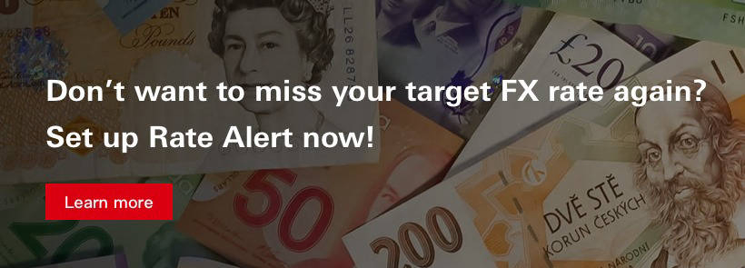 How to Hedge Foreign Exchange Transaction Risks with Forward Contracts ...