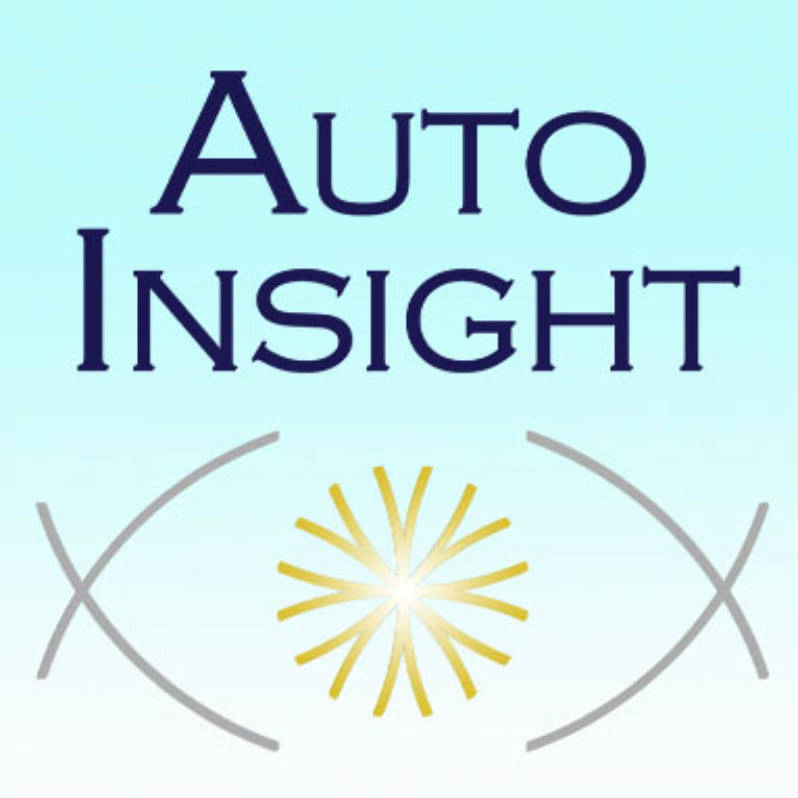 AutoInsight Limited | Business Member – HSBC Business Go