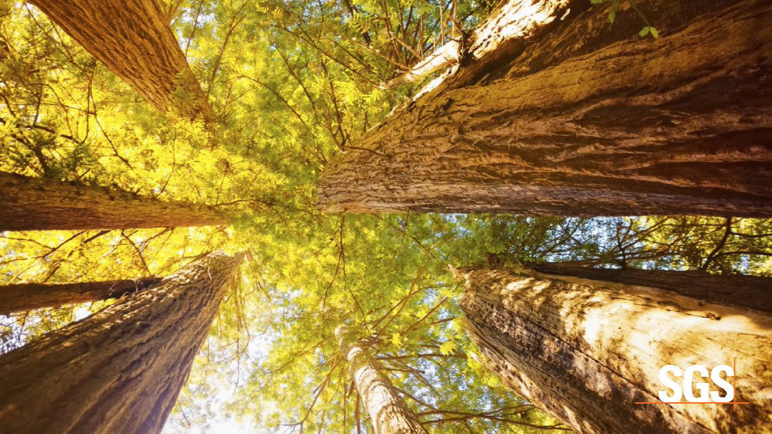 Understanding and Managing GHG Emissions in Corporate Value Chain ...