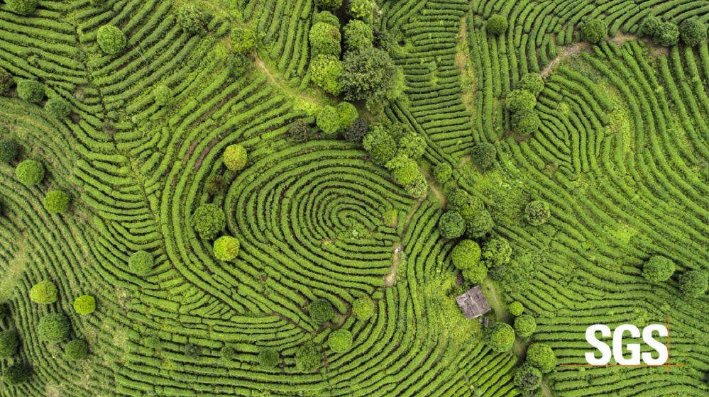 Stakeholder Engagement and Regulatory Requirements | Event – HSBC ...