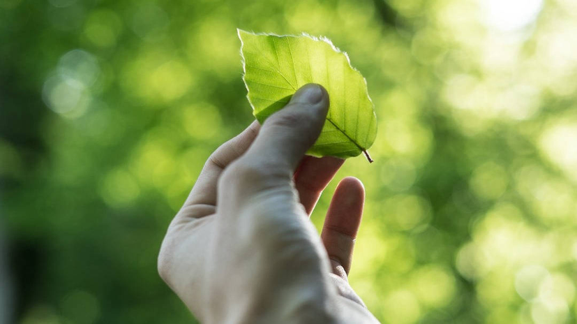 Understanding Differences Between ESG and Sustainability and Why They ...