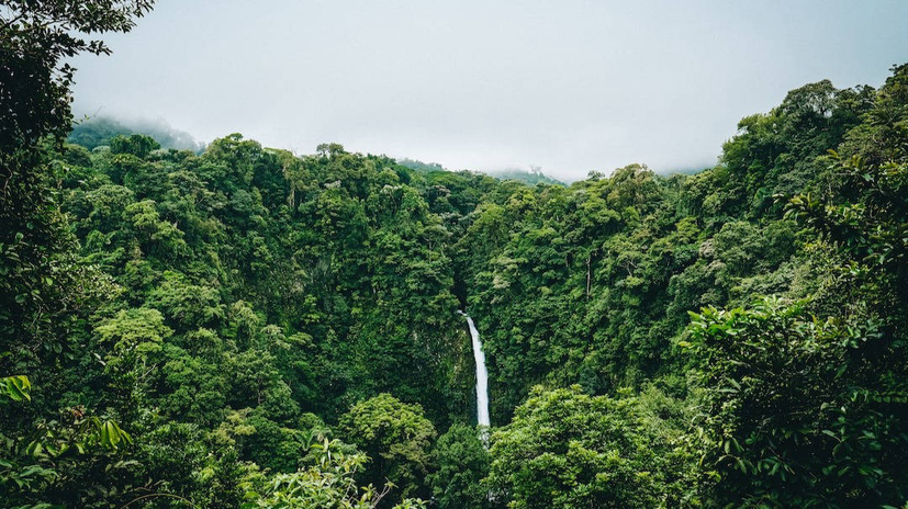 Business Finance: What Is It and Why Is It Important? | Article – HSBC ...