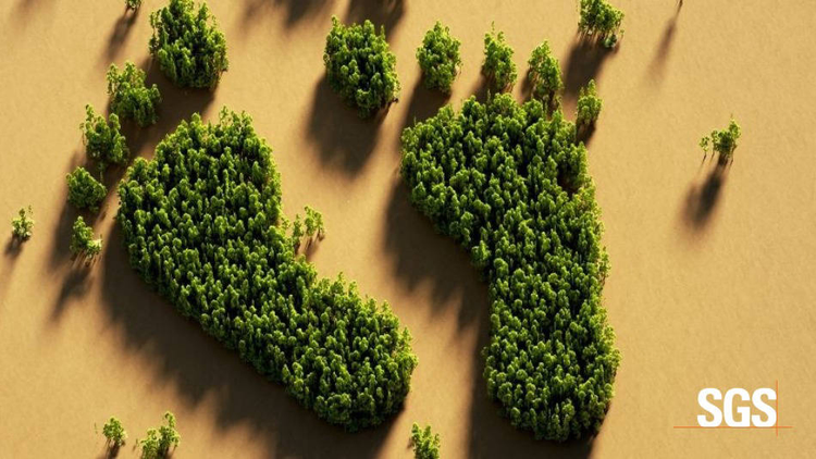 Measurement of Carbon Emissions | Event – HSBC Business Go