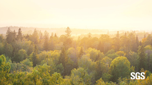 SGS HONG KONG LIMITED | Business Member – HSBC Business Go