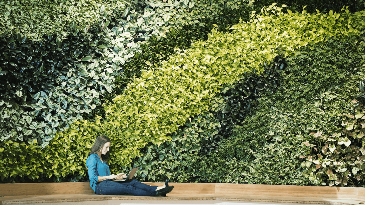 What Is ESG and Why Is It Important | Article – HSBC Business Go