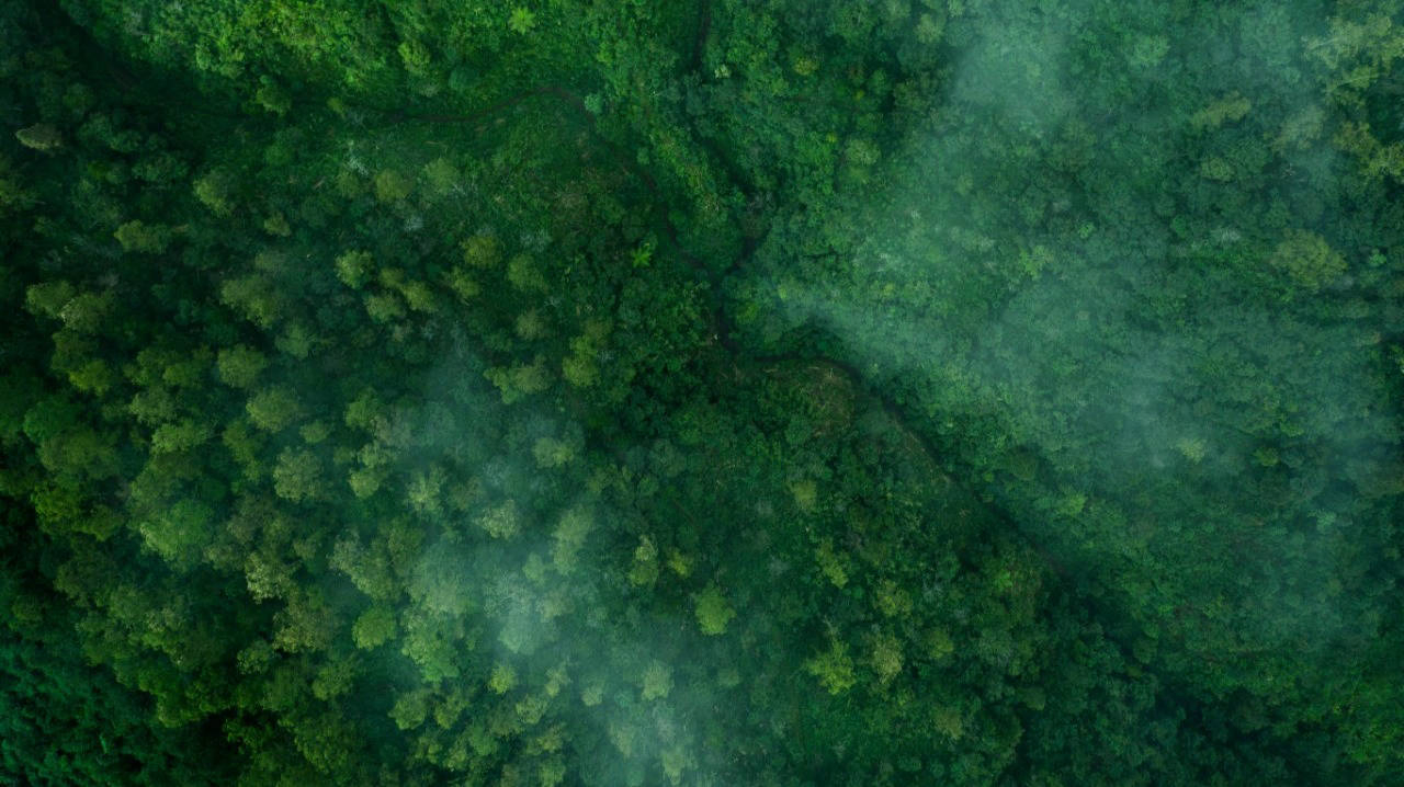 What is ESG Reporting? Framework and Standards | Article – HSBC Business Go