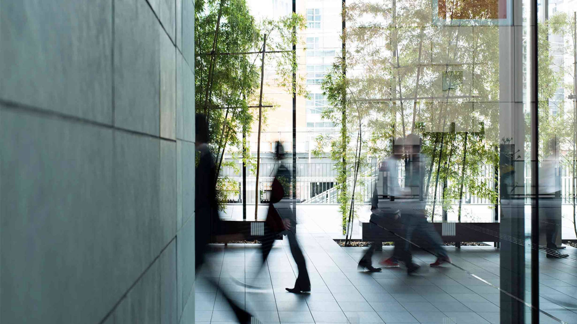 What is ESG and how can SMEs apply it effectively? | Article – HSBC ...