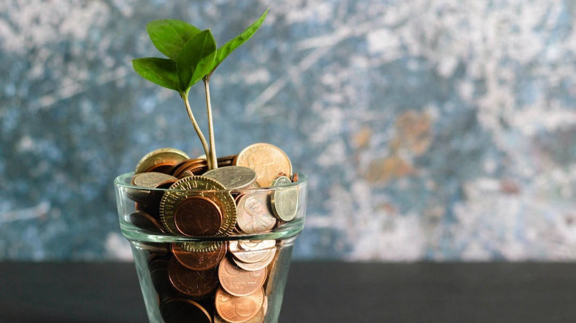 Market Development Grant (MDG) - Objectives and Application | Article ...