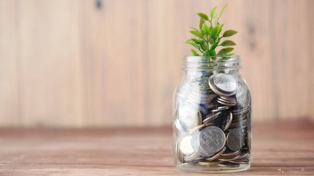Singapore Enterprise Financing Scheme (EFS) | Article – HSBC Business Go