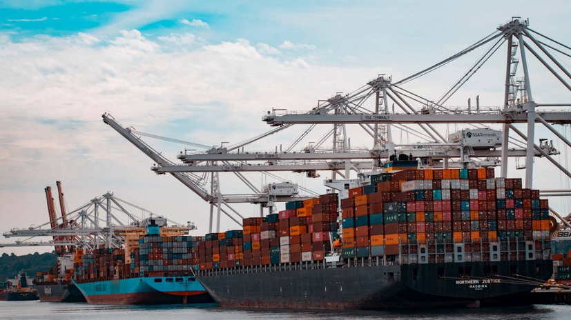 How to Start an Import-Export Business in the UAE in 2025 | Article ...