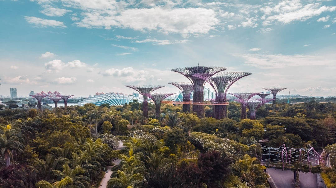 The AIFTA (ASEAN-India Free Trade Area) | Article – HSBC Business Go