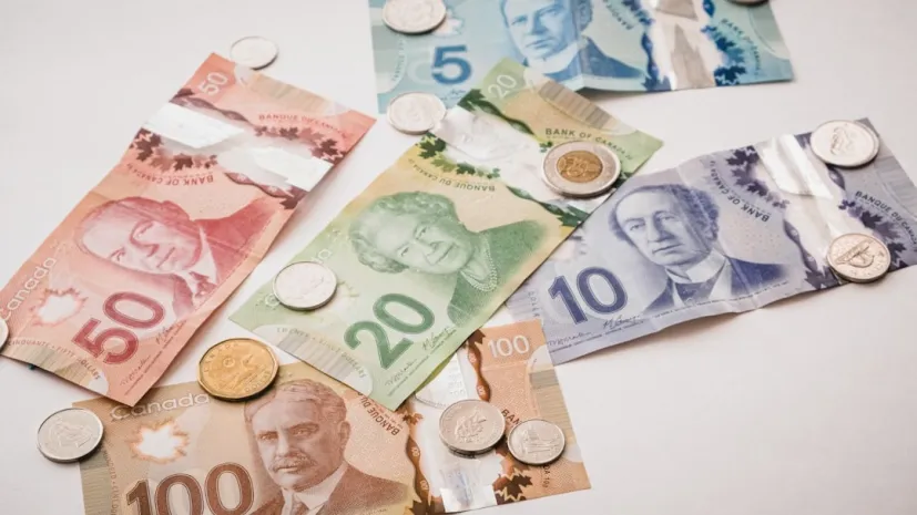 Leasing or Securing Projects? How can Bank Guarantee Help? | Article ...