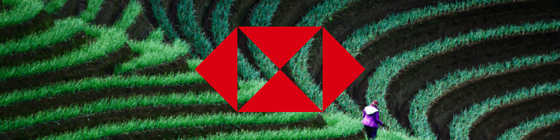 Business Tools | Hong Kong | Tools – HSBC Business Go